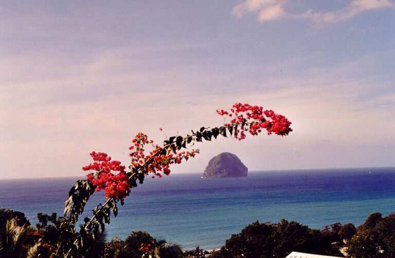 Martinique : L'Île aux Fleurs, entre Histoire et Paradis Tropical ...