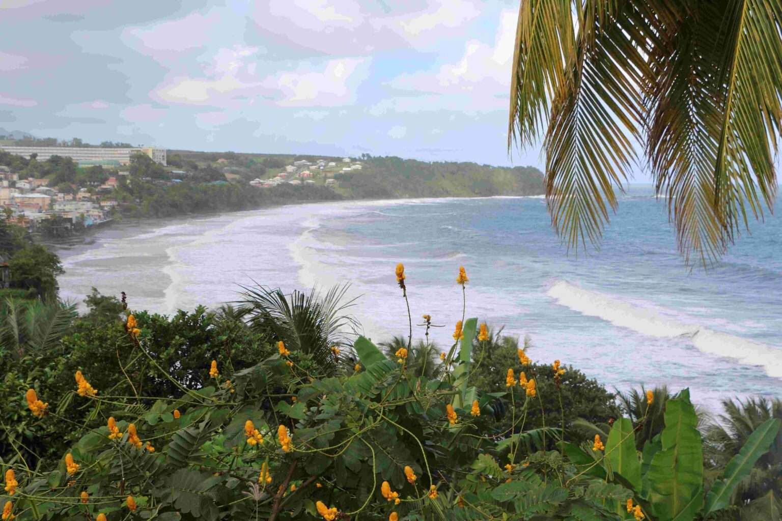 Martinique : L'Île aux Fleurs, entre Histoire et Paradis Tropical ...