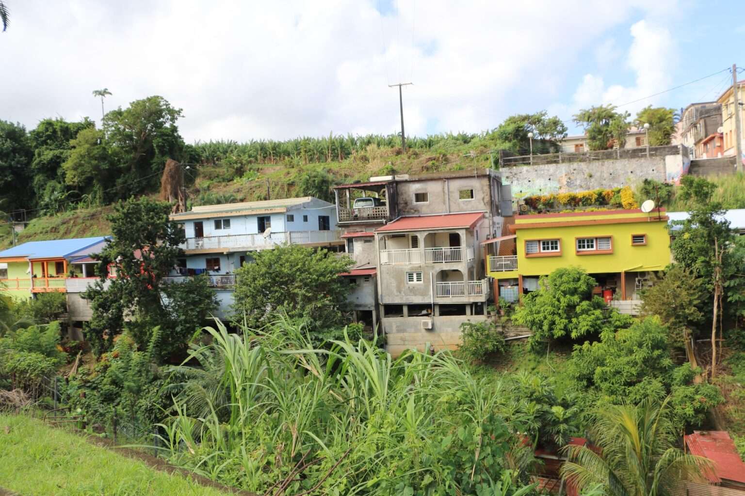 Martinique : L'Île aux Fleurs, entre Histoire et Paradis Tropical ...