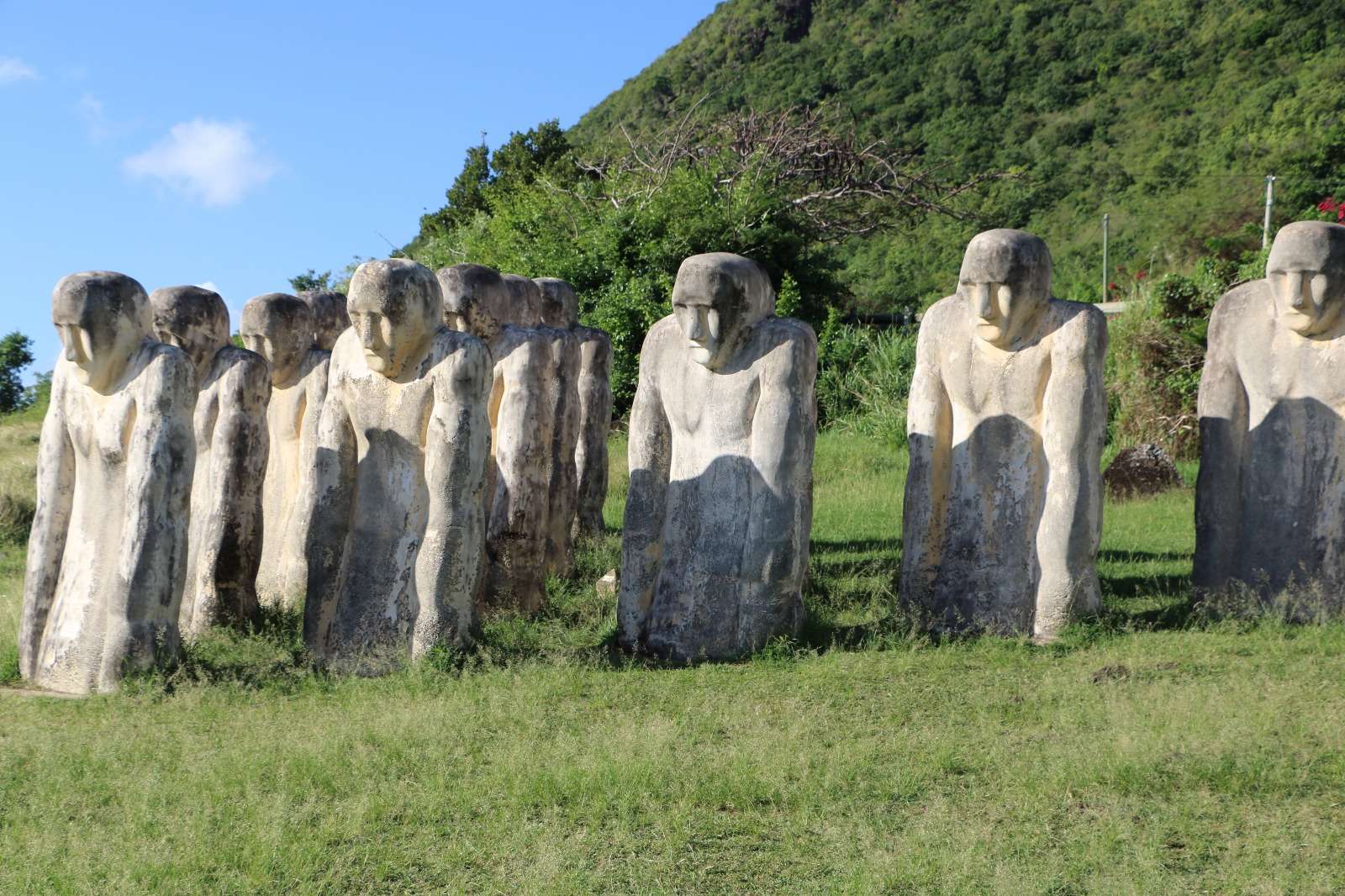 Martinique : L'Île aux Fleurs, entre Histoire et Paradis Tropical ...