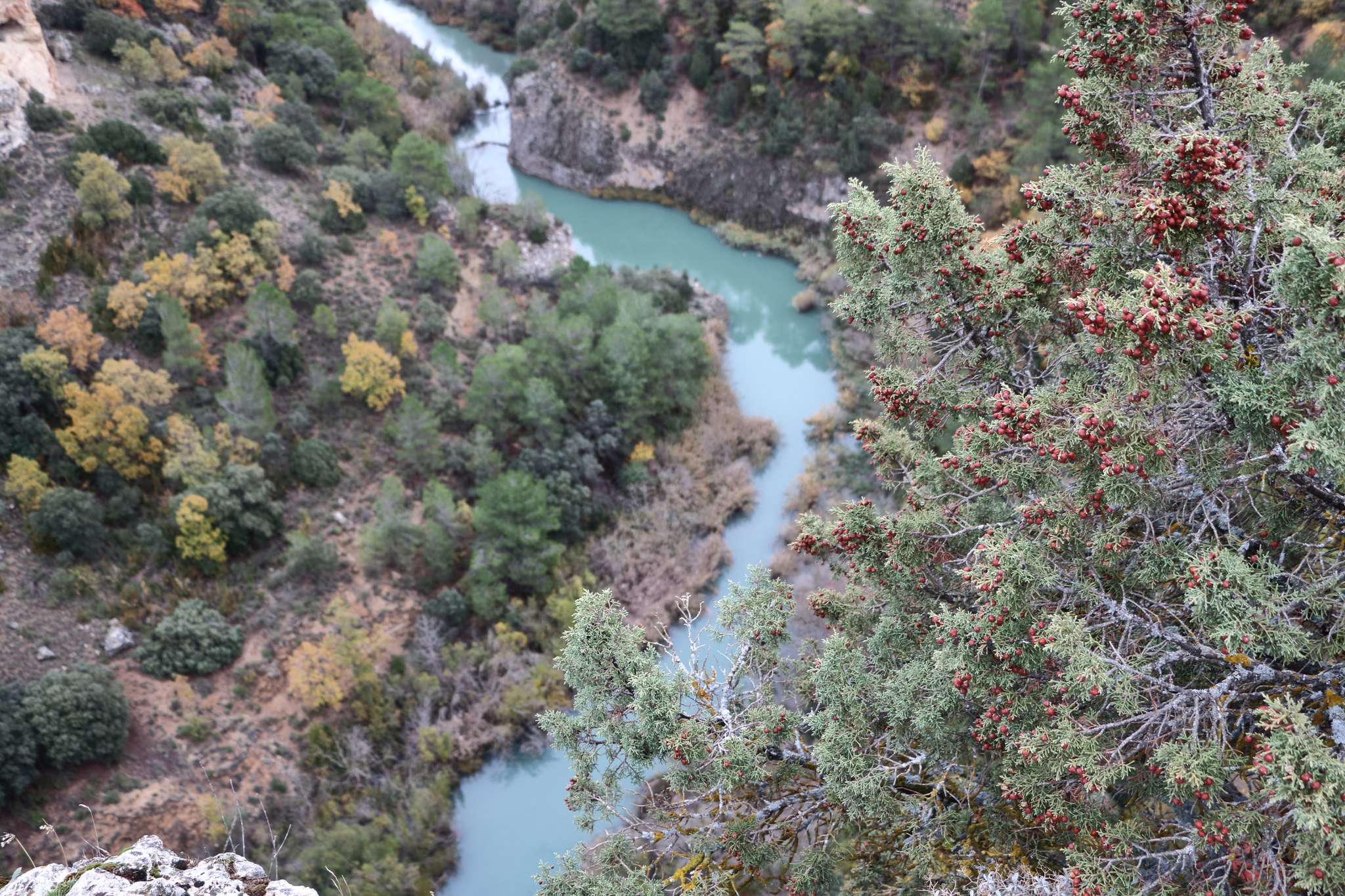 Parque Natural de la Serrania de Cuenca - ESPAGNE + - voyageavecnous.com