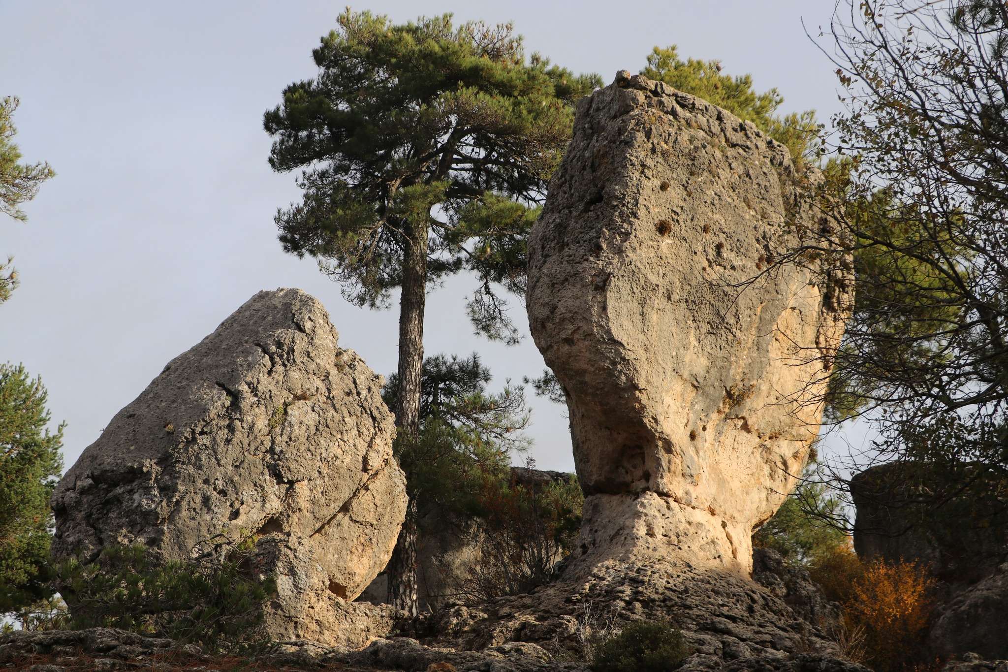Parque Natural de la Serrania de Cuenca - ESPAGNE + - voyageavecnous.com