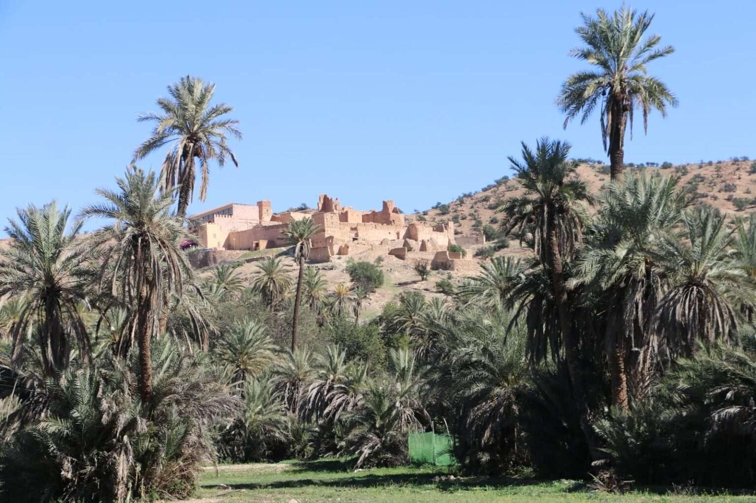 La Palmeraie de Tiout - TAROUDANT MAROC + - voyageavecnous.com