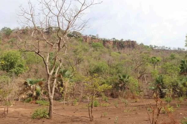 La Réserve communautaire de Dindéfelo - Kédougou SENEGAL ...