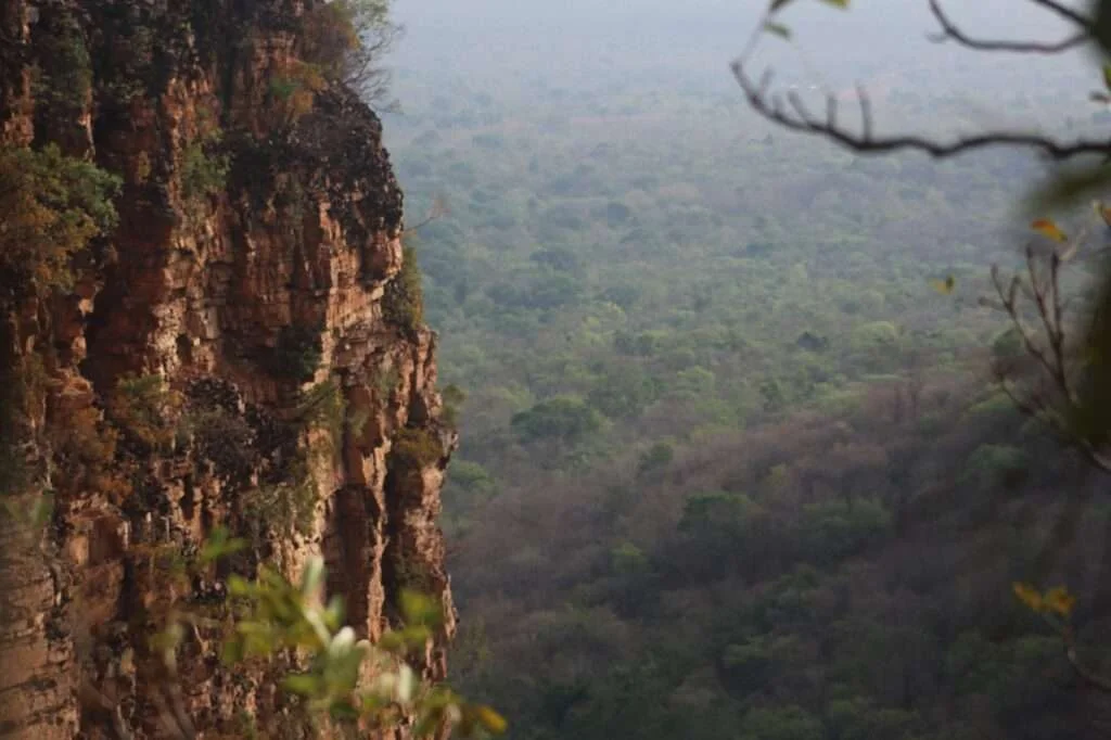 La Réserve communautaire de Dindéfelo - Kédougou SENEGAL ...