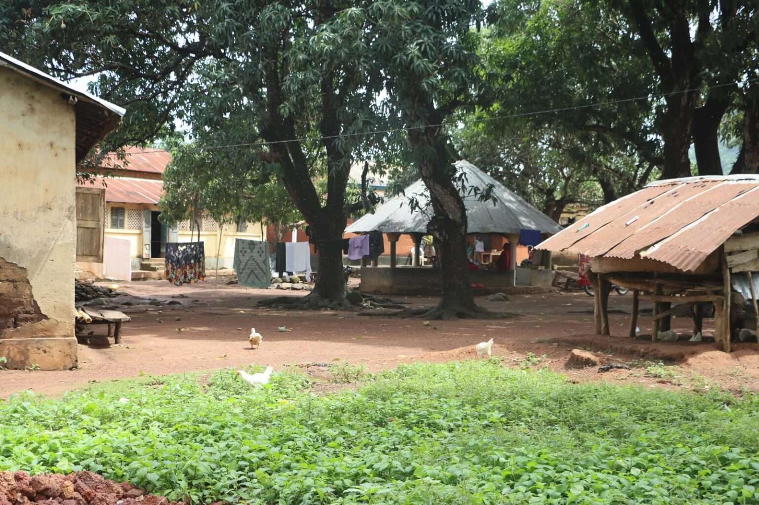Kindia, la porte verte du Fouta GUINEE + - voyageavecnous.com