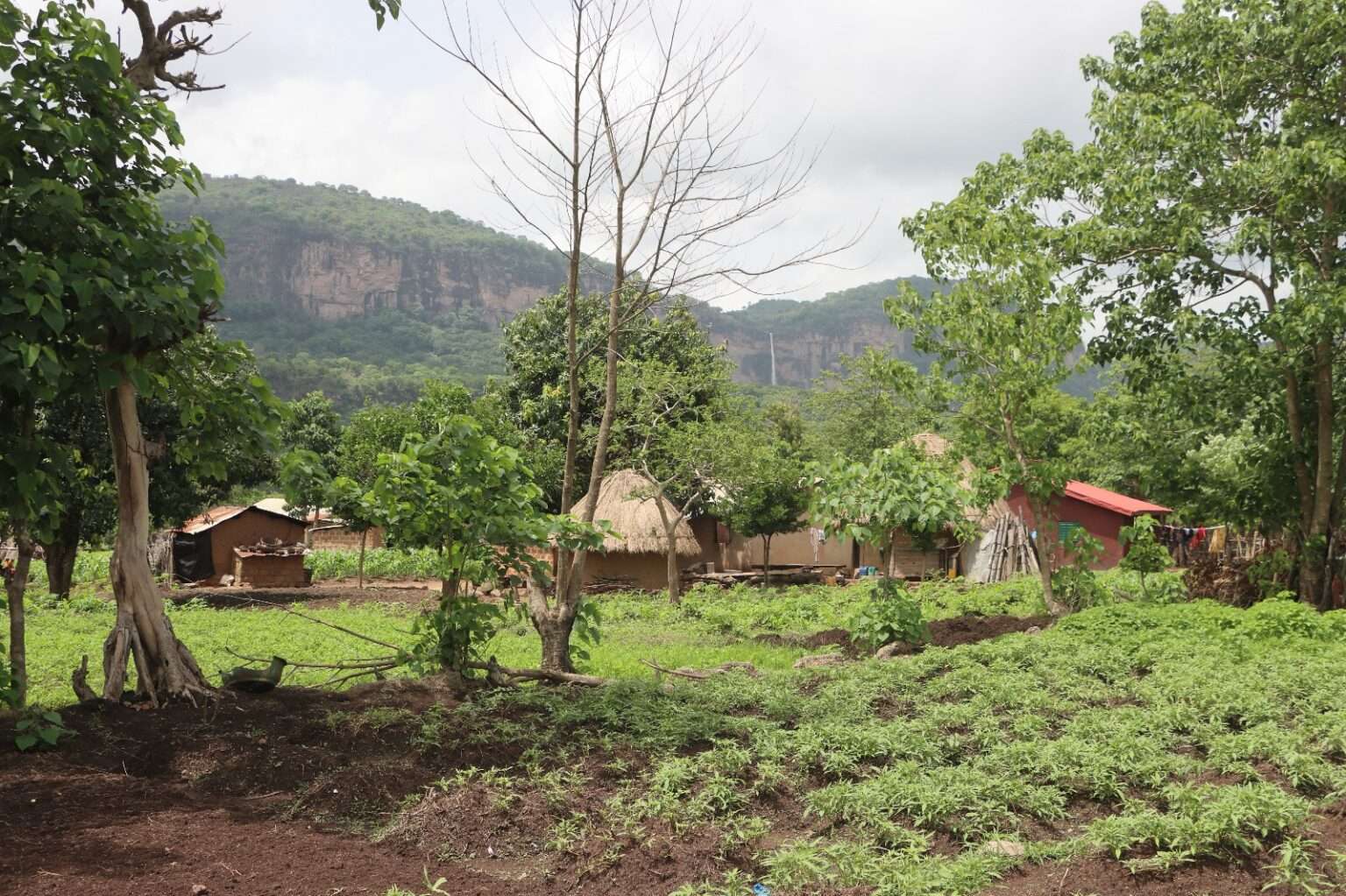 Dalaba, balcon du Fouta Djalon GUINEE + - voyageavecnous.com
