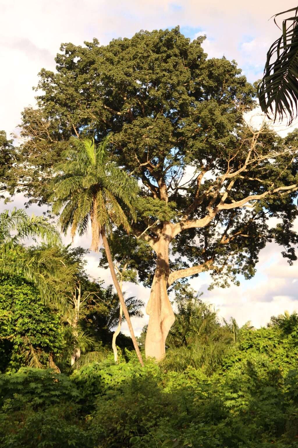 Bondoukou "La Ville aux Mille Mosquées" Côte d'Ivoire ...