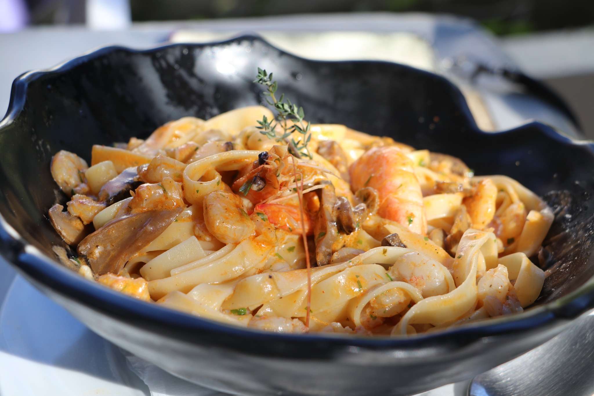 Parc de Perdicaris Un Écrin de Nature entre Terre et Mer TANGER MAROC ...