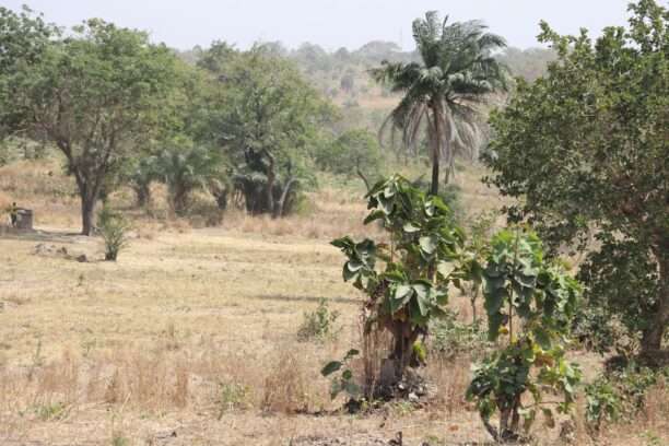 Bondoukou "La Ville aux Mille Mosquées" Côte d'Ivoire ...