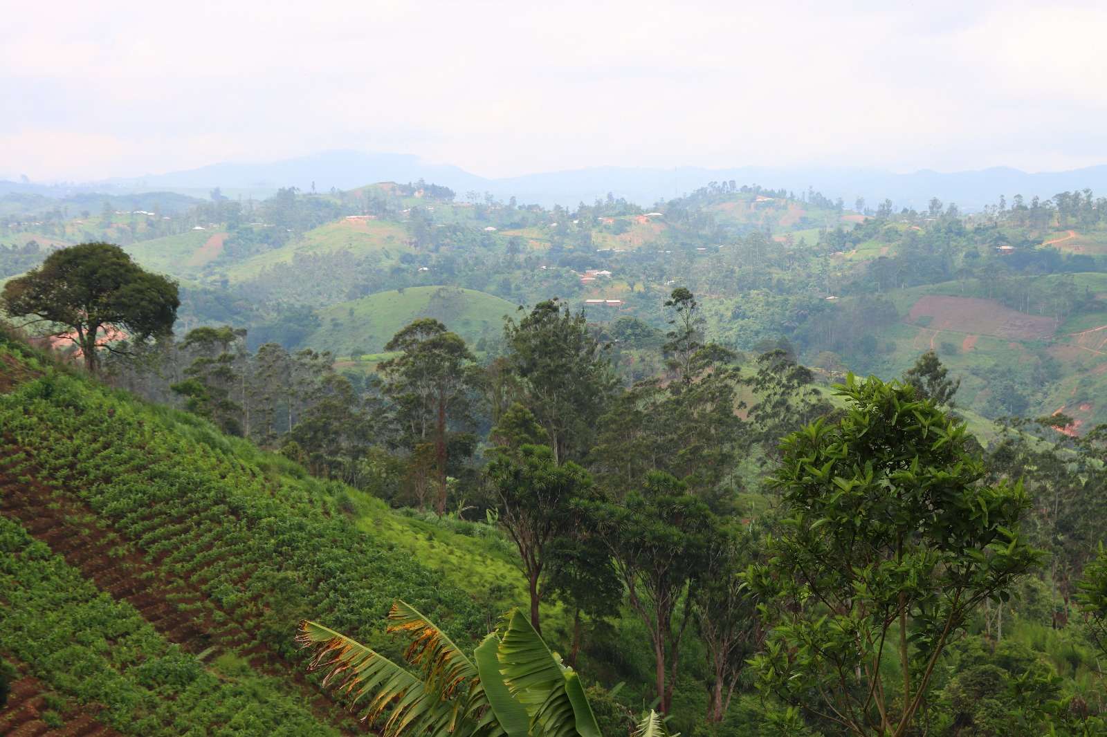 Les secrets de Dschang : histoire, culture et paysages CAMEROUN ...