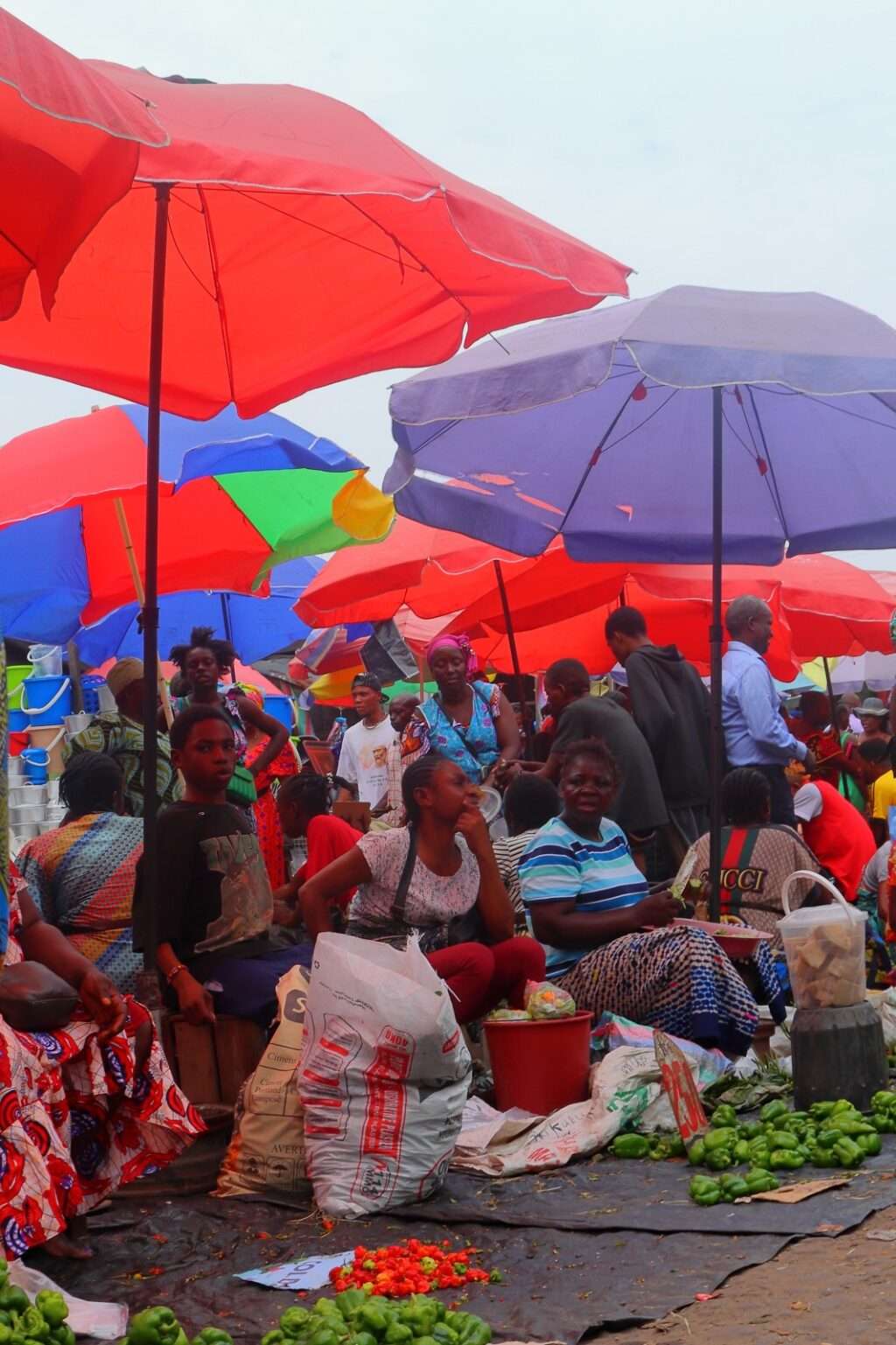 À la découverte de Brazzaville : perle du fleuve Congo ...