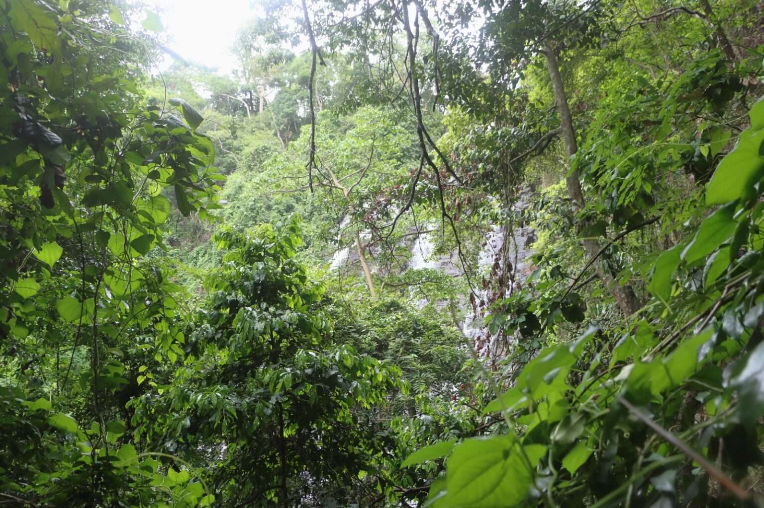 Dalaba, balcon du Fouta Djalon GUINEE + - voyageavecnous.com