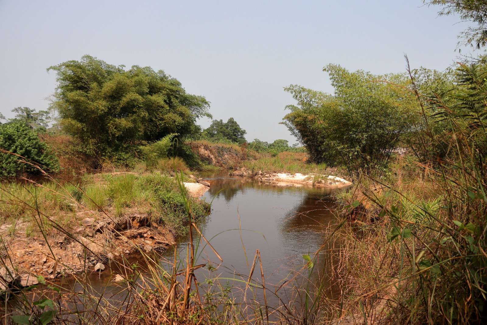 Dolisie, poumon vert du Niari CONGO + - voyageavecnous.com