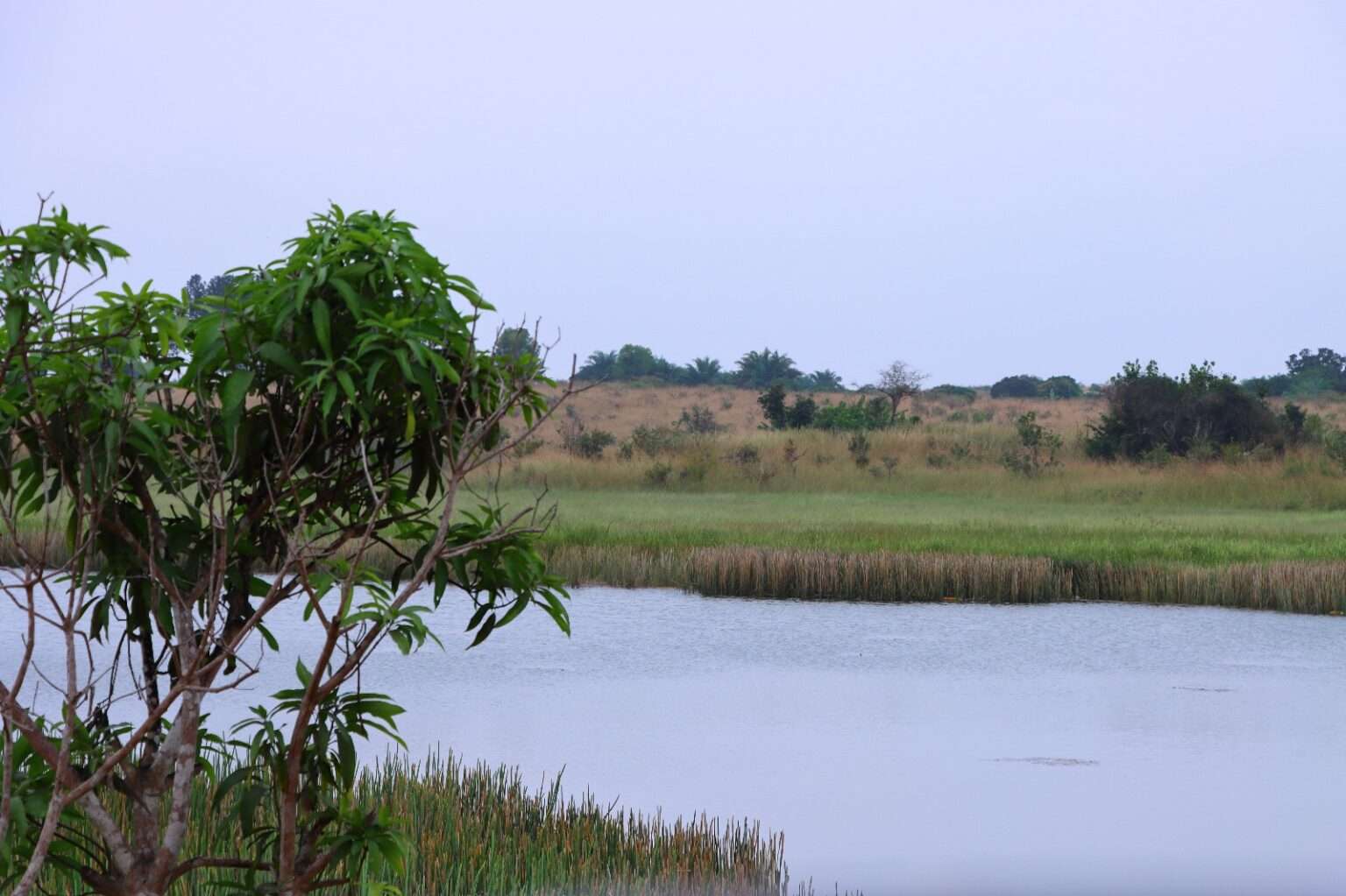 Dolisie, poumon vert du Niari CONGO + - voyageavecnous.com