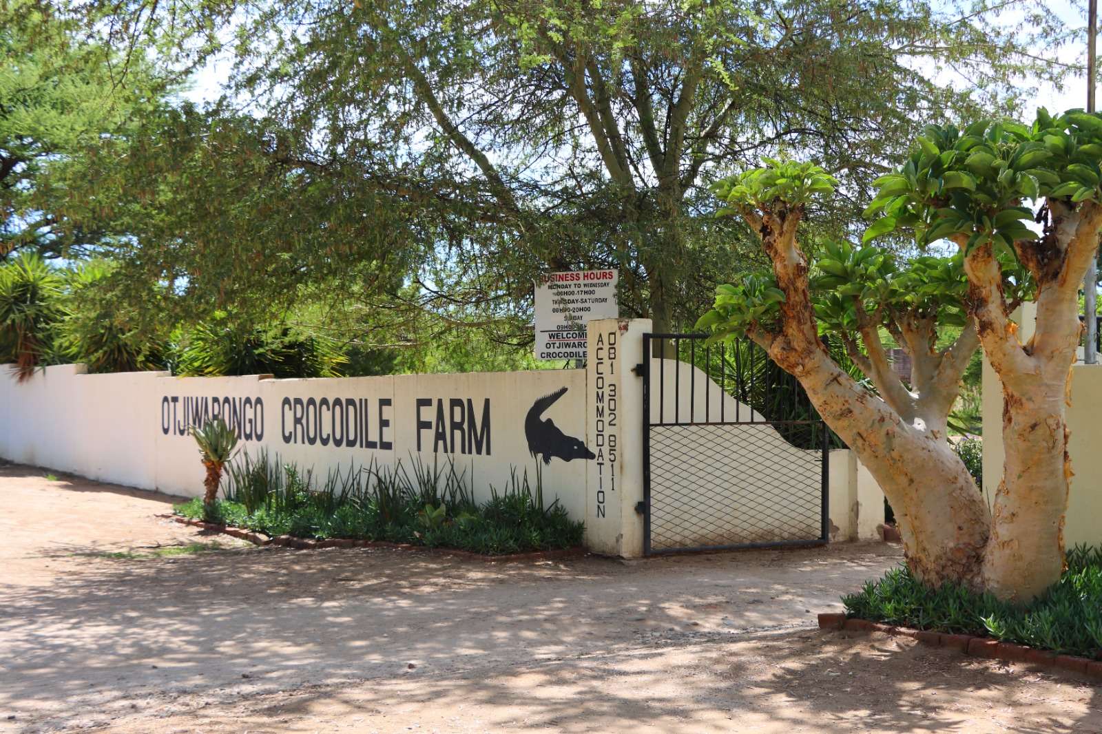 Crocodile Ranch (Otjiwarongo) : entre élevage, tourisme et conservation ...