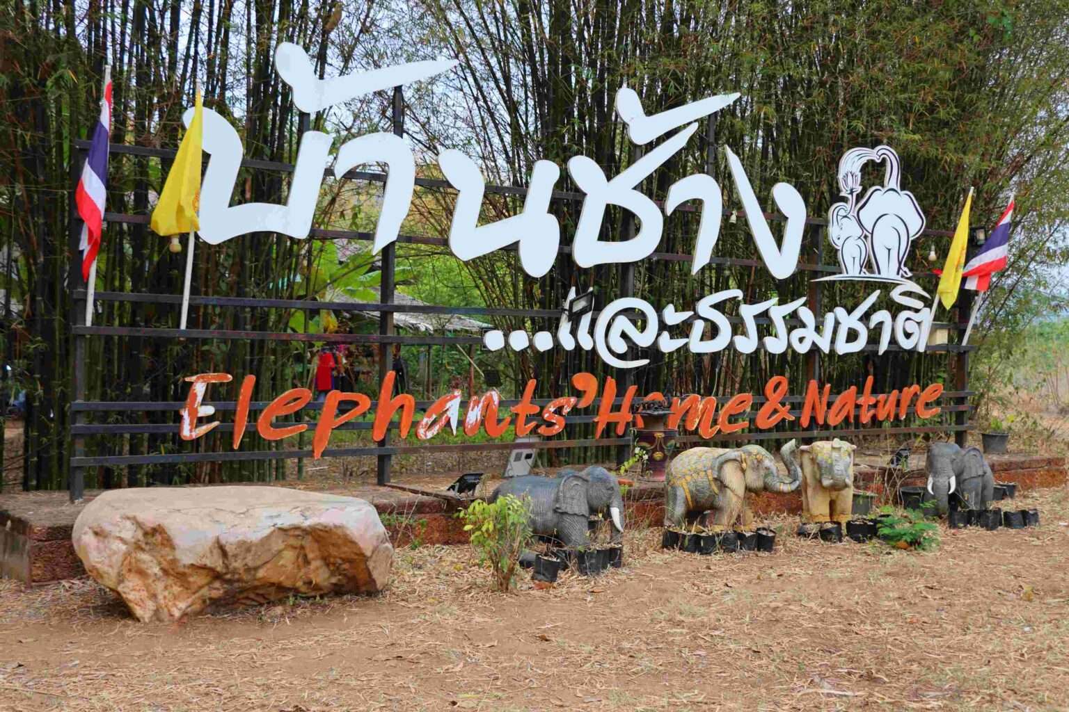 Elephant’s Home and Nature —rencontre éthique avec les géants de ...